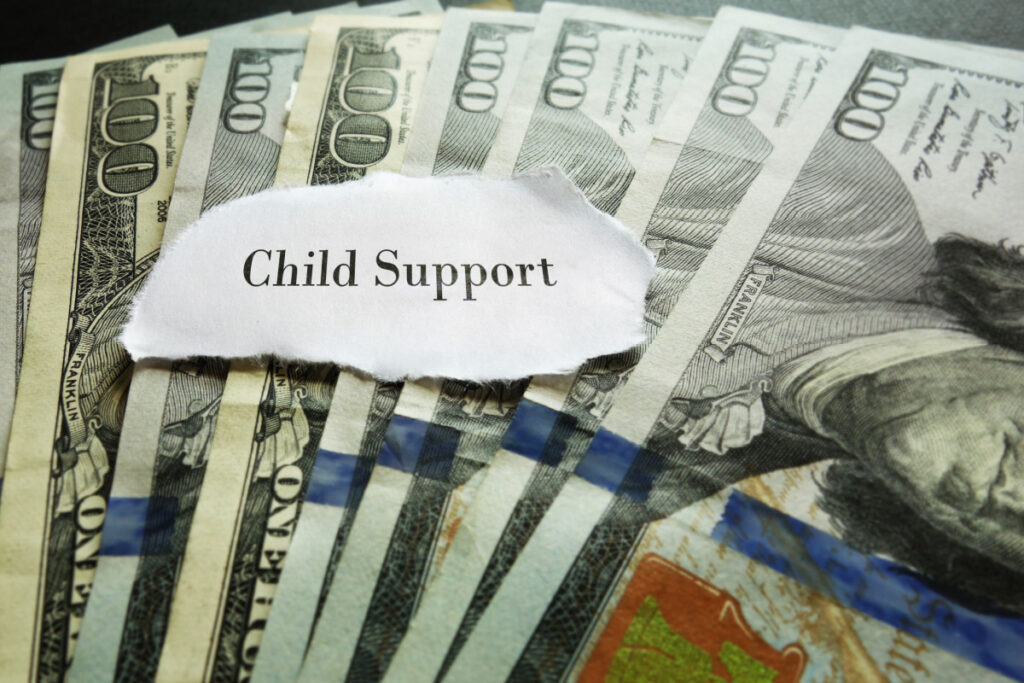 Enforcing Child Support Orders: Legal Options and Consequences in ...